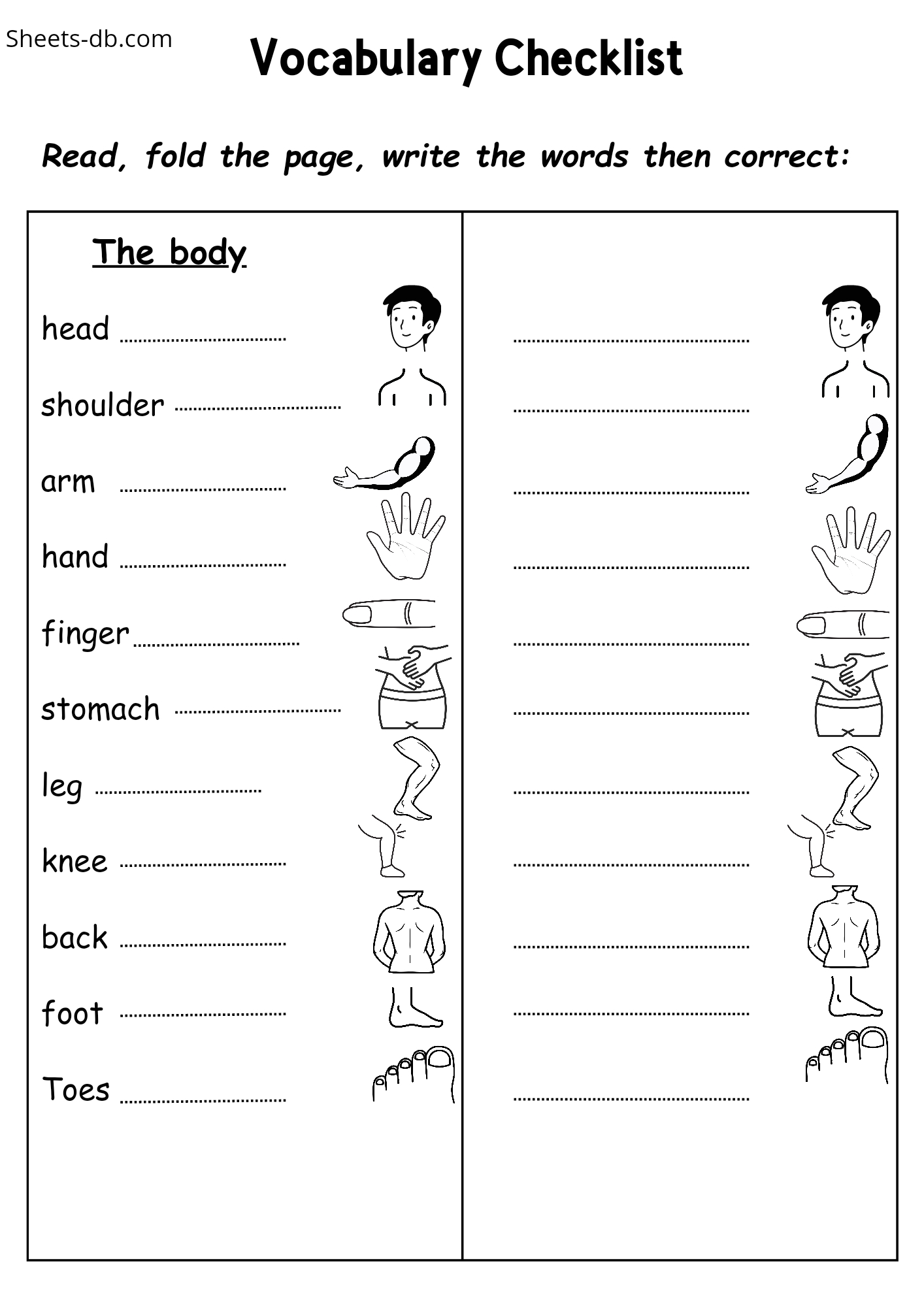 Vocabulary Checklist-The Body – Sheets