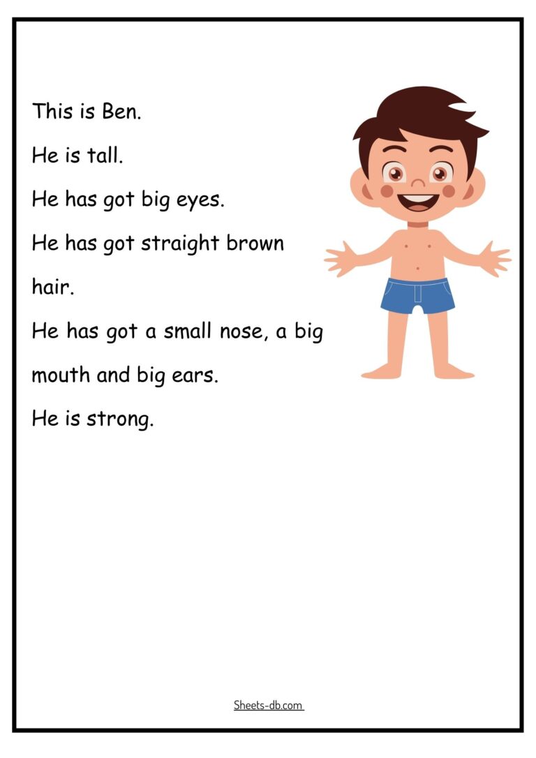 Describing Appearance worksheets – Sheets
