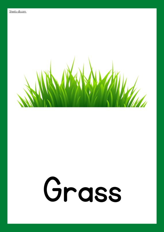 Spring Flashcards – Sheets