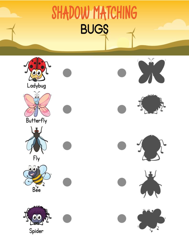 Shadow Matching Activities – Sheets