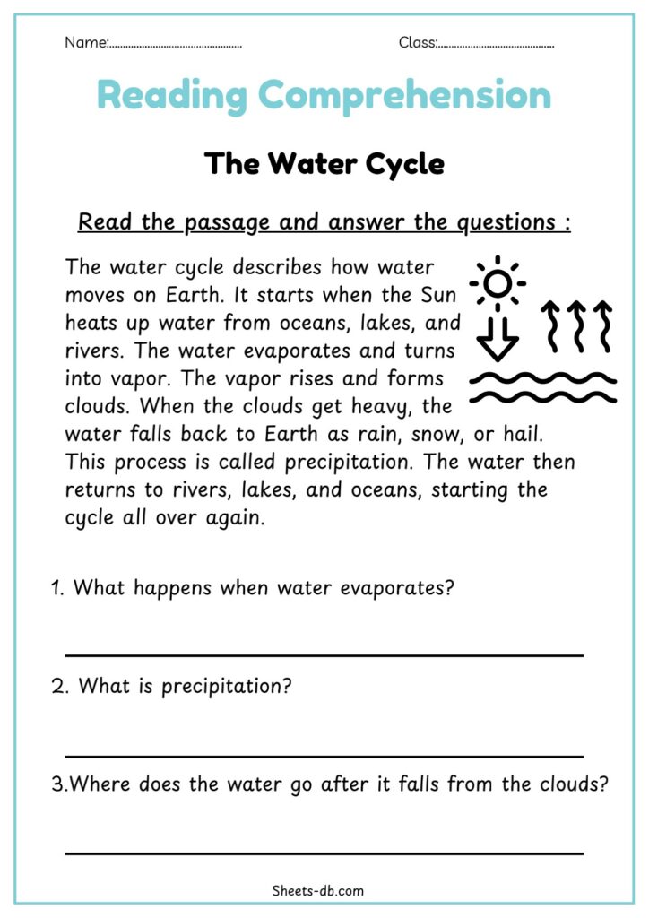 Reading Comprehension – Sheets