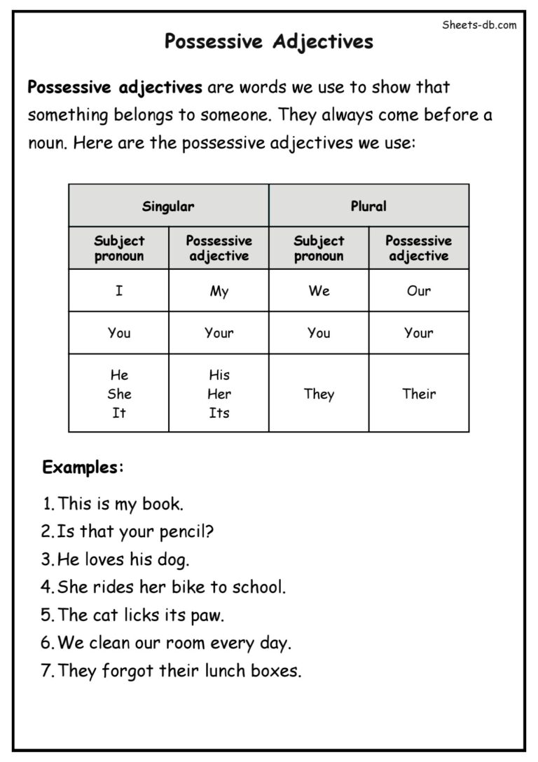 Possessive Adjectives – Sheets
